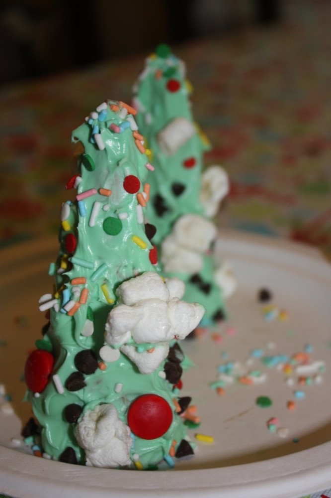 An Easy Christmas Craft!